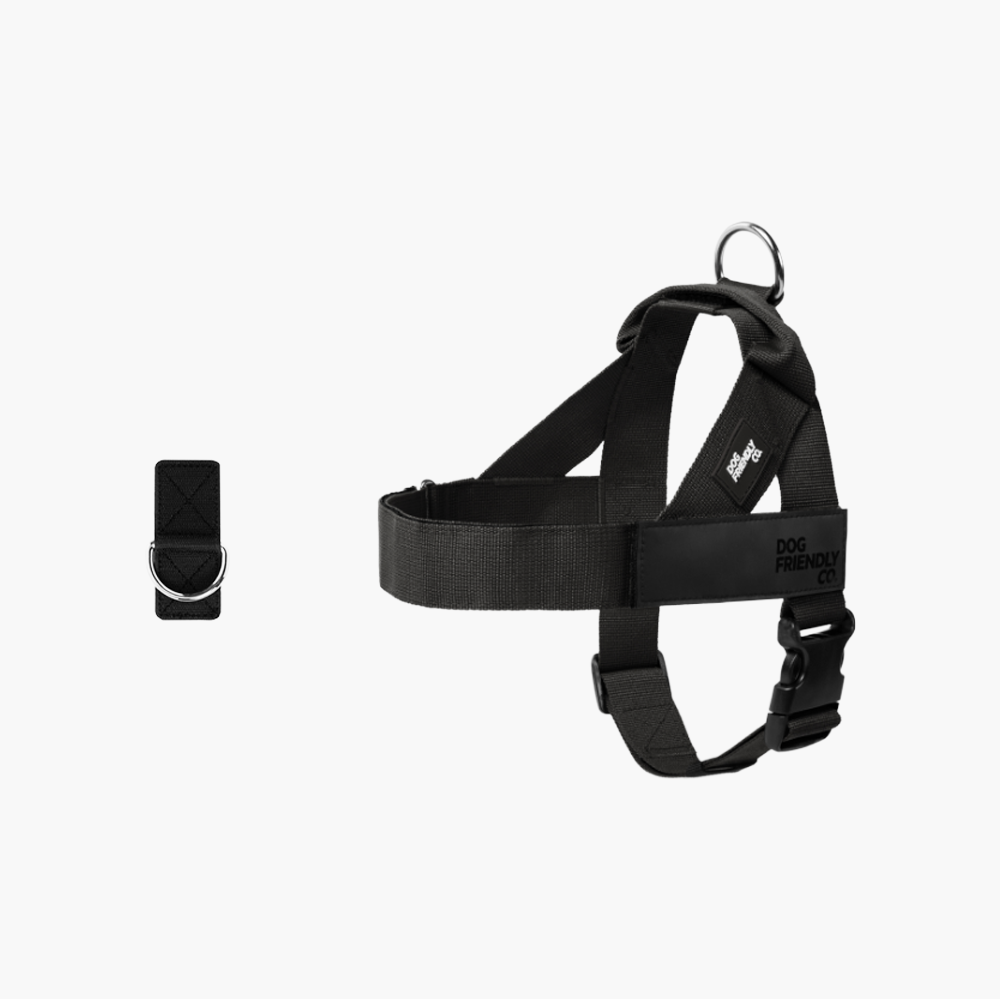 Personalised Dog Harnesses With Name Patch | Dog Friendly Co. UK